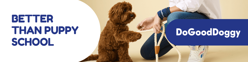 Find The Right Pet For Your Family - PetsForHomes